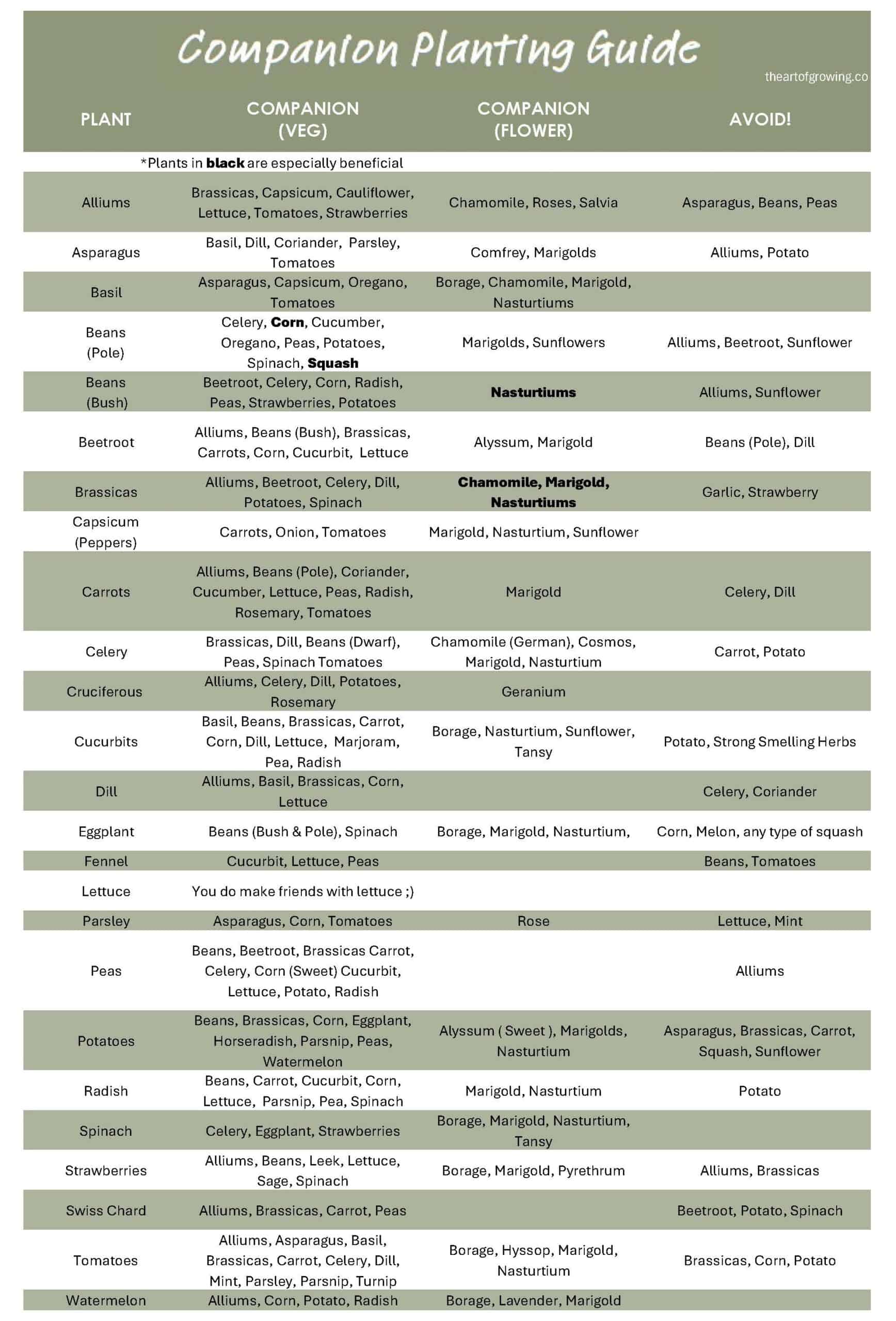 The Ultimate Beginners Guide to Square Foot Gardening - The Art of Growing