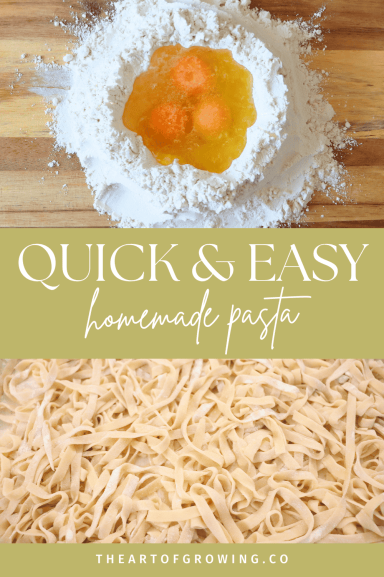 The BEST Homemade Pasta Recipe - Easy and Fresh! - The Art of Growing